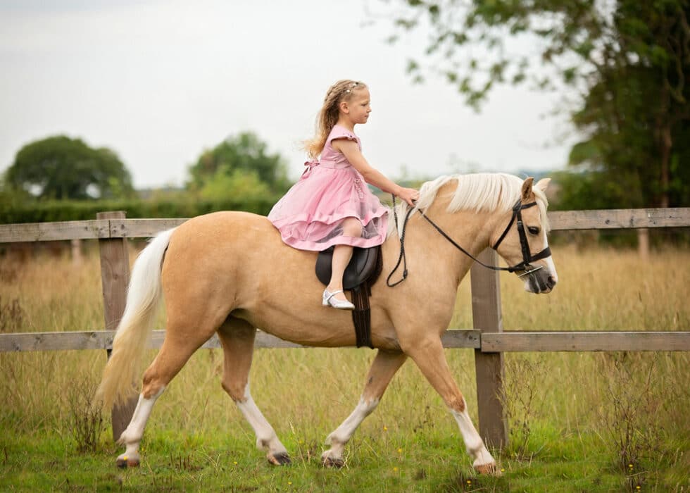 A Young Person’s First Pony Photoshoot Session - Emma Campbell, Horse ...